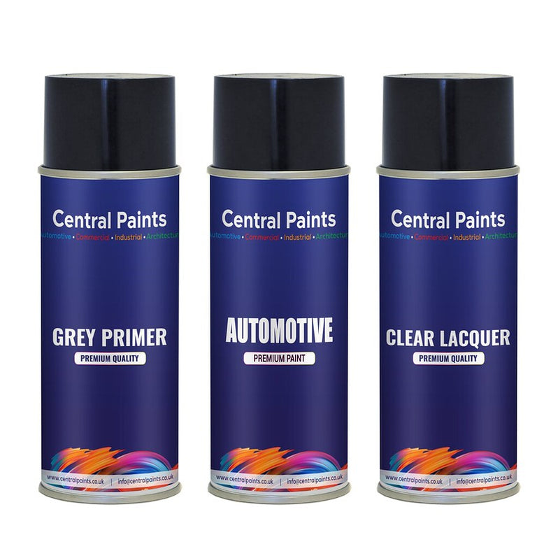 Toyota 1G3 Magnetic Grey Paint for Sale - Car Paint Shop — Central Paints